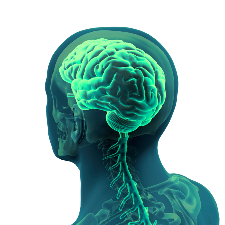 Neurosurgery and Orthopedic Complex Spine Surgery