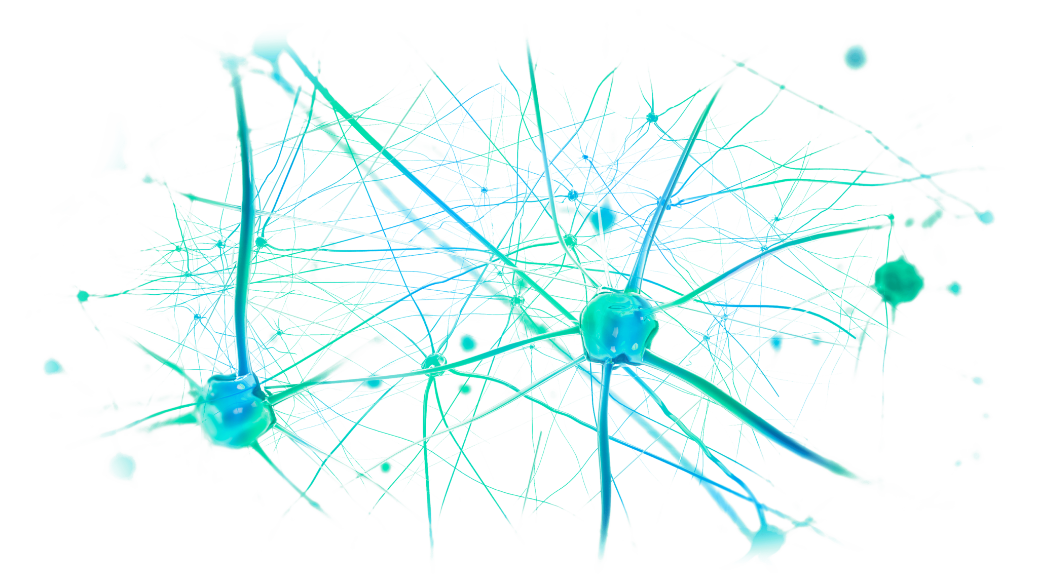 Neurosurgery and Orthopedic Complex Spine Surgery